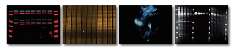 We are now distributor of the xCELLigence and eSight instruments of ...